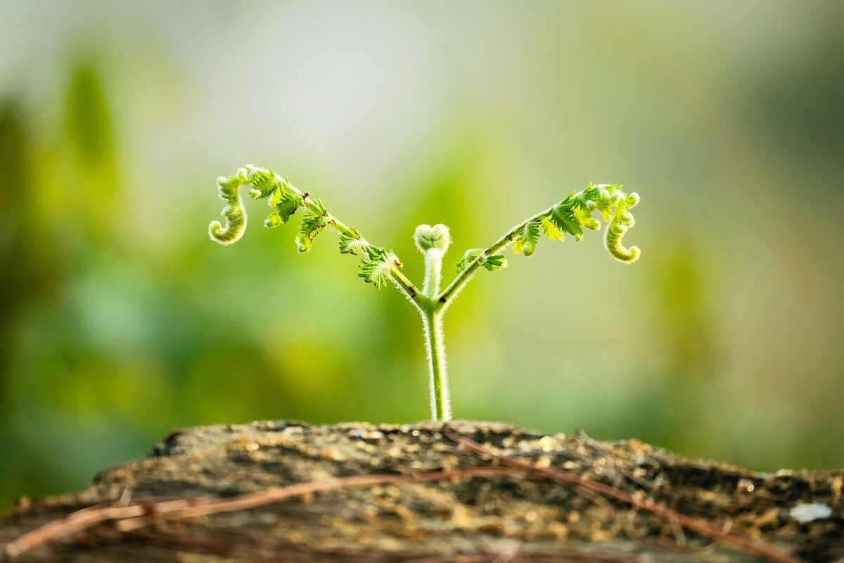 Things that Hinder Personal and Professional Growth | AGF